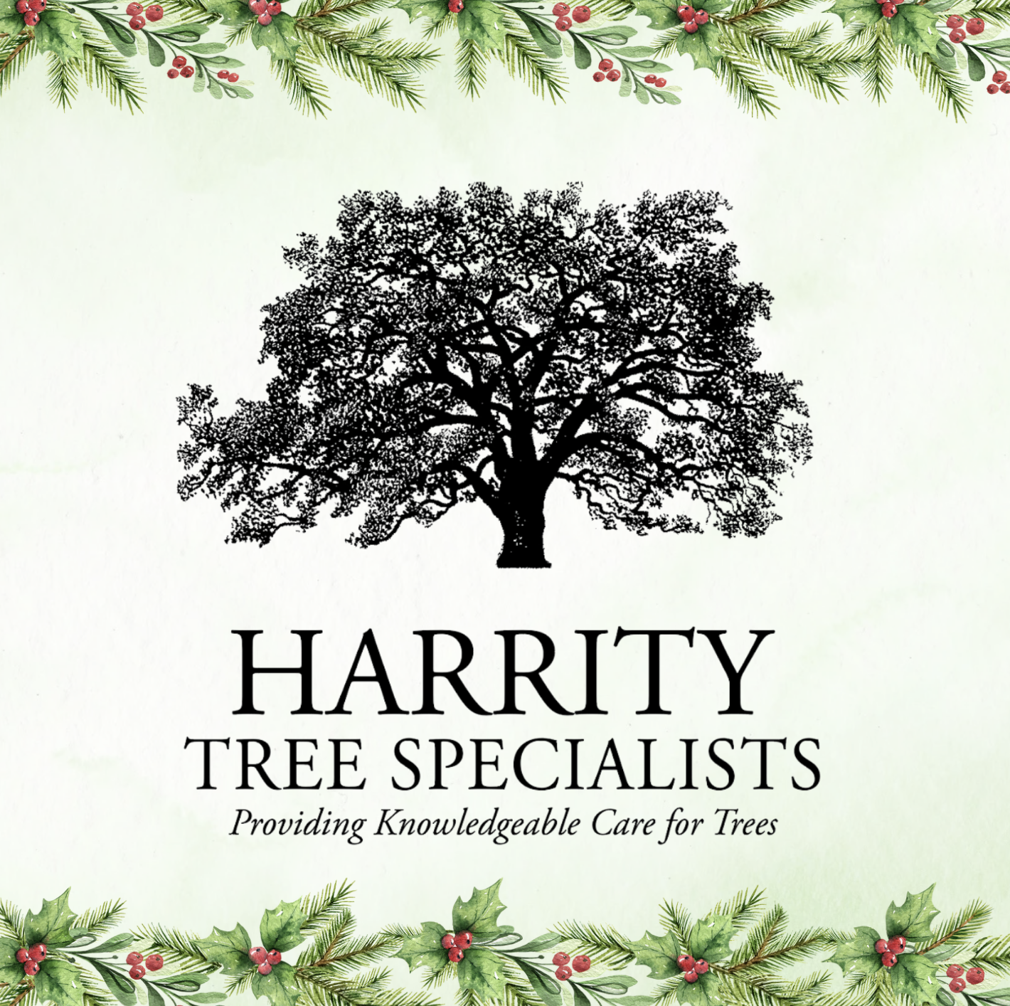 Choosing the Perfect Christmas Tree: A Guide to Pacific Northwest ...